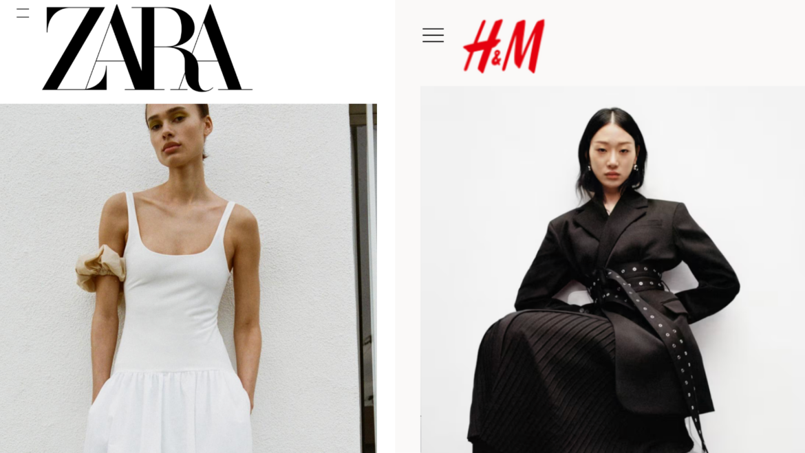 H&M and Zara Linked to Illegal Deforestation in Brazil - RETAILBOSS