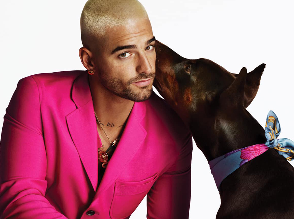 Top 10 Luxury Pet Clothing and Accessories in the World (2026 Ranking ...