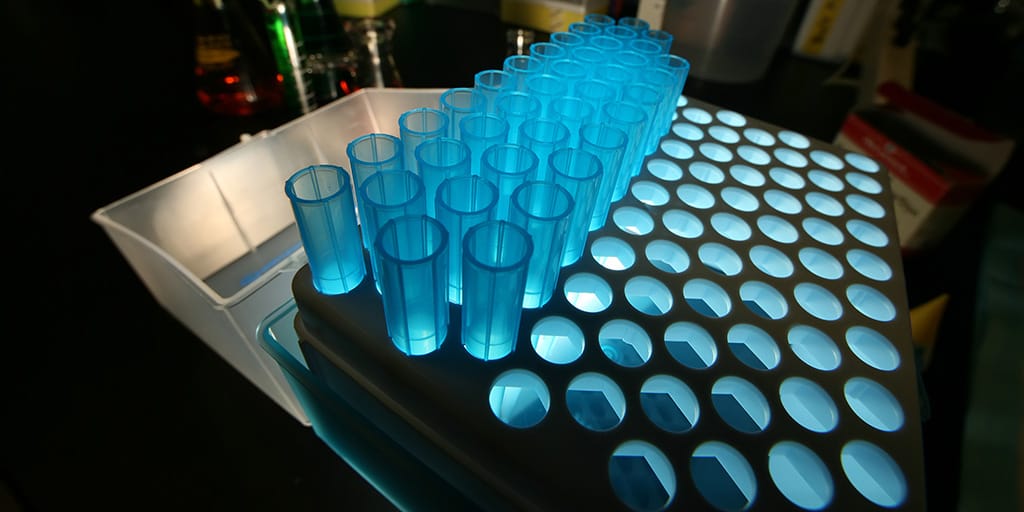 Osmo’s AI Skin Irritation Test Points to a Future Without Animal ...