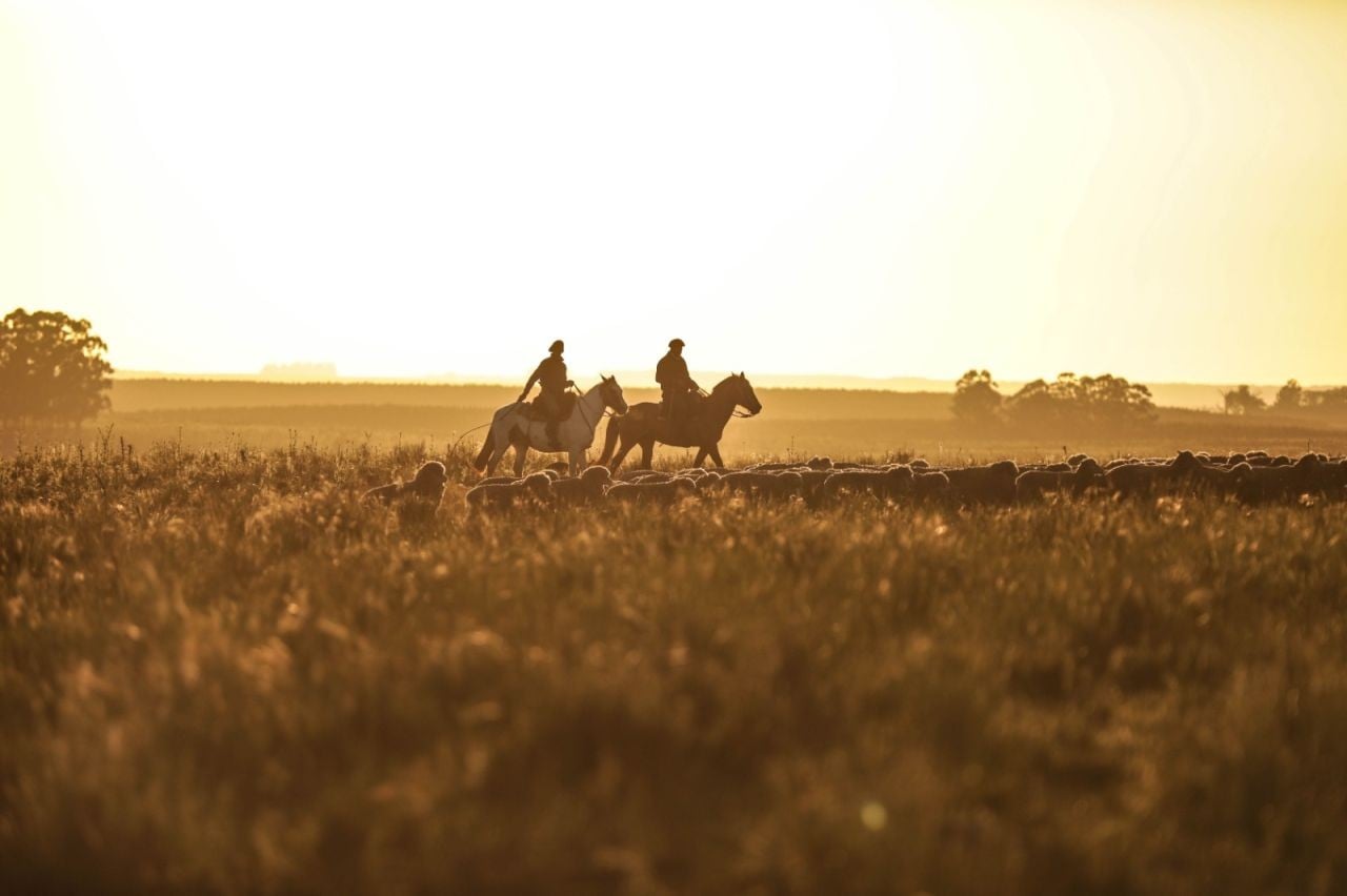 Inside Gucci’s Regenerative Farming Initiative That is Reshaping ...